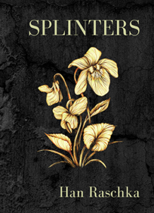 “Splinters”, by Han Raschka, Release - Collapse Press